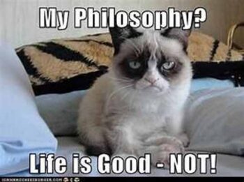 50 Hilarious Disappointment Memes That Are Very Relatable